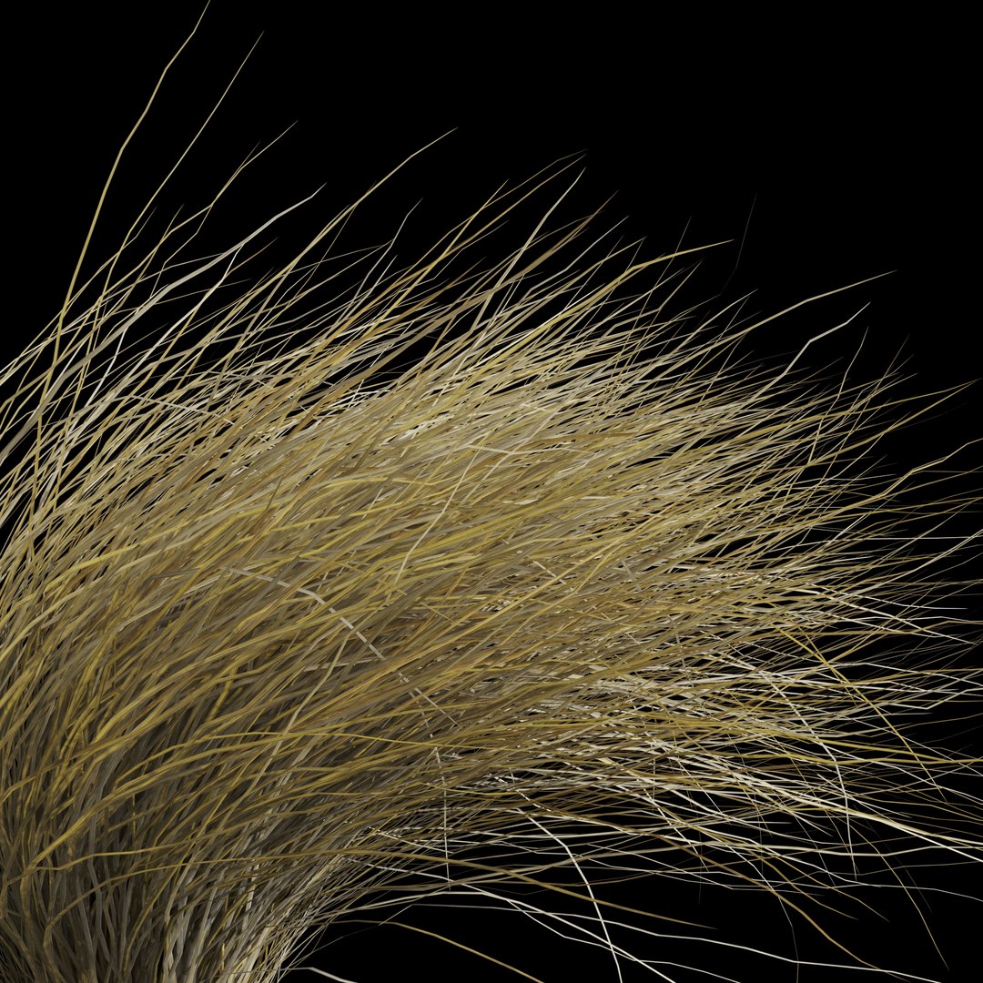 Bushes Wild Dry Grass 3D Model - TurboSquid 1590614