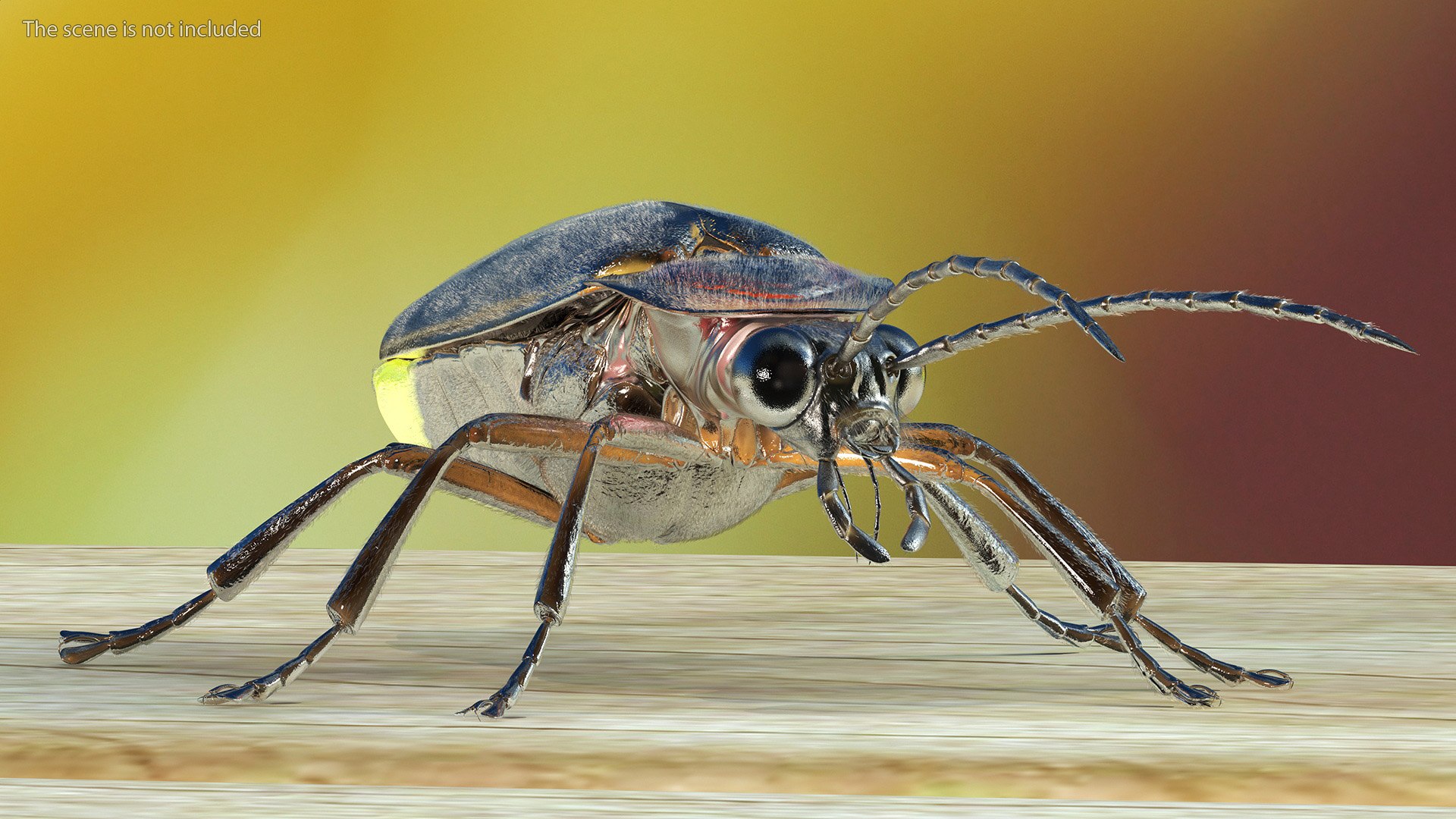 Glowing Big Dipper Firefly Crawling Pose Fur 3D - TurboSquid 2170455