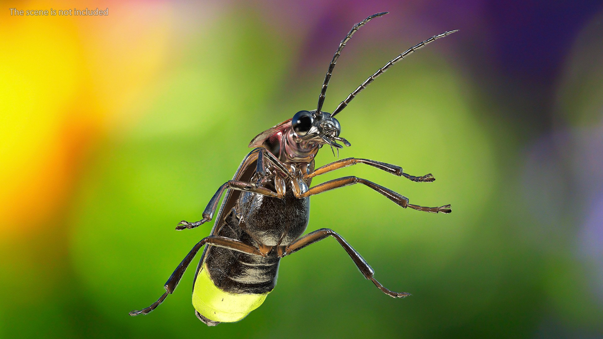 Glowing Big Dipper Firefly Crawling Pose Fur 3D - TurboSquid 2170455