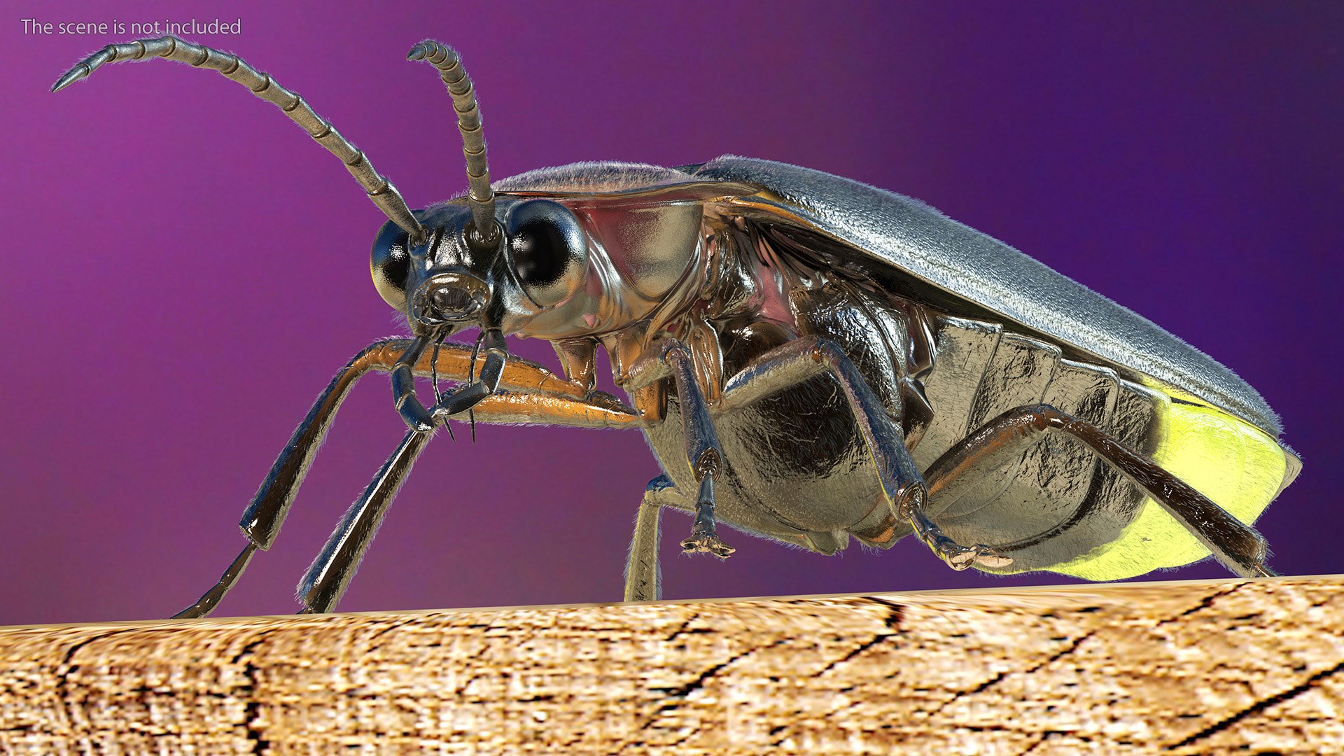 Glowing Big Dipper Firefly Crawling Pose Fur 3D - TurboSquid 2170455