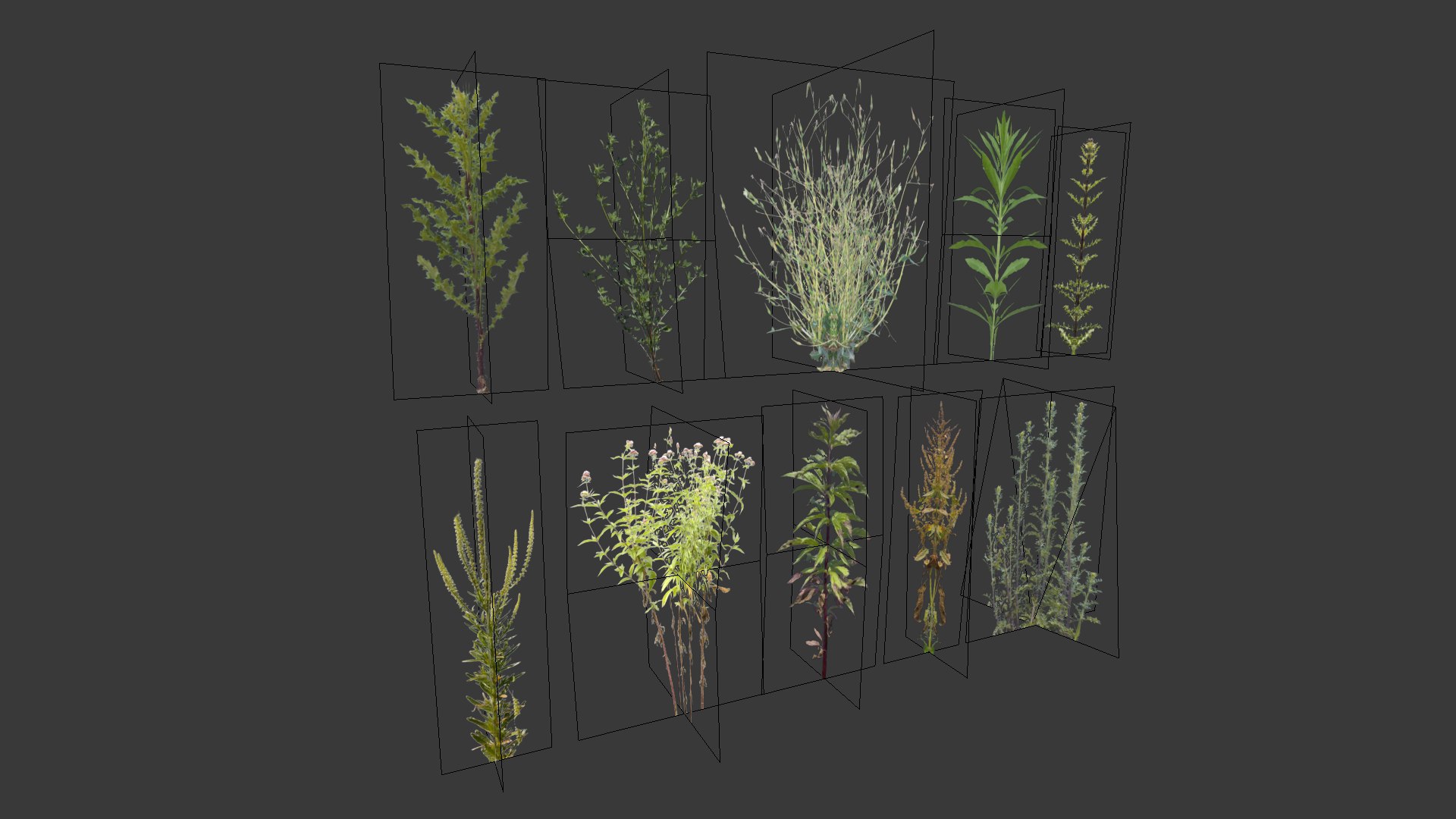 3D Pack Small Plant - TurboSquid 1430649