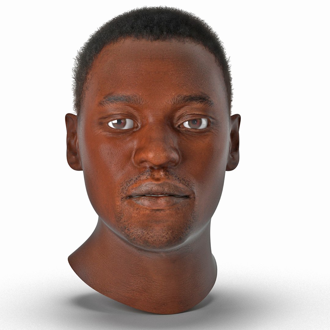 3d Model African American Male Head