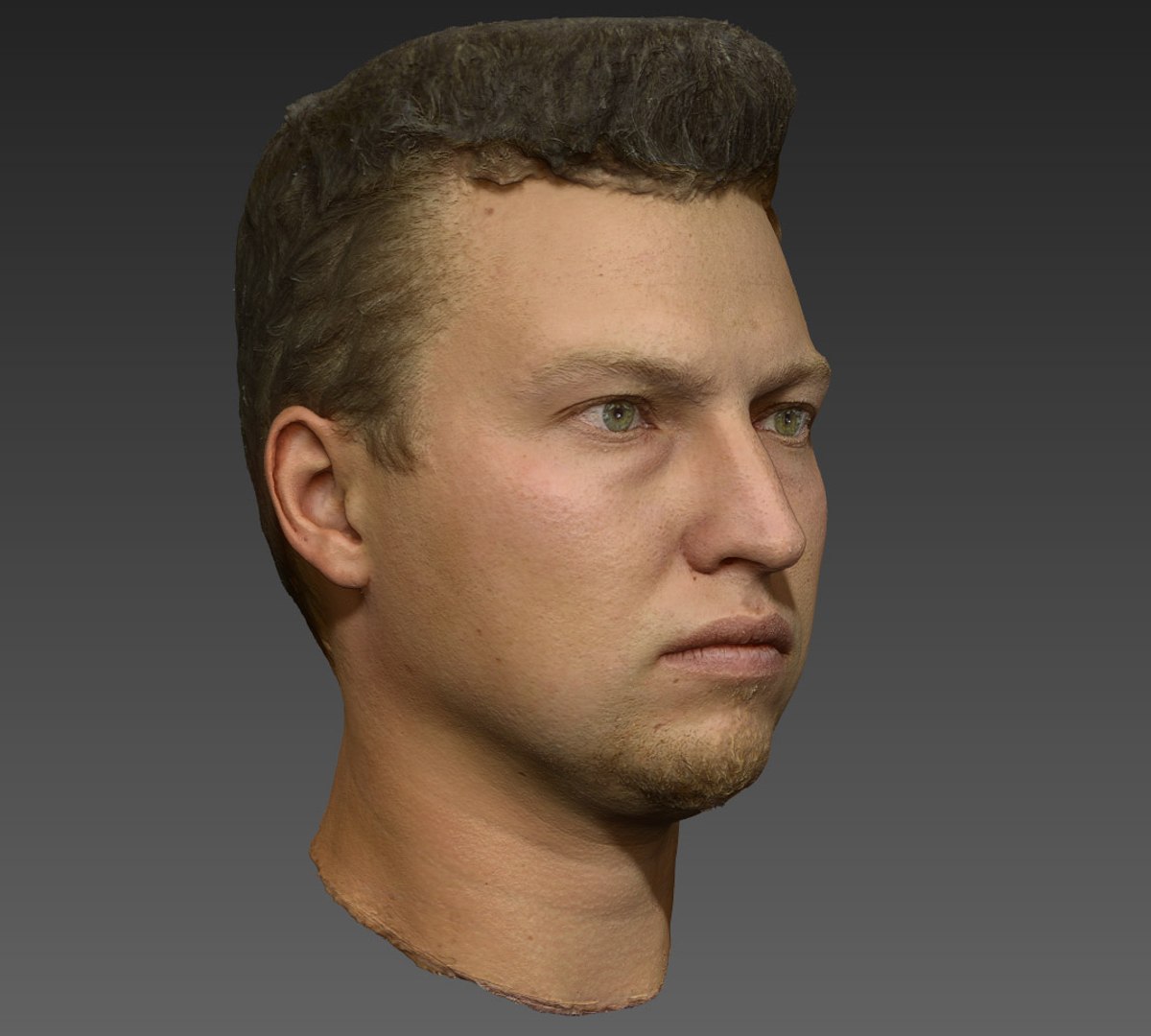 Free 3ds Mode Scan Photogrammetry Heads Human Eyes
