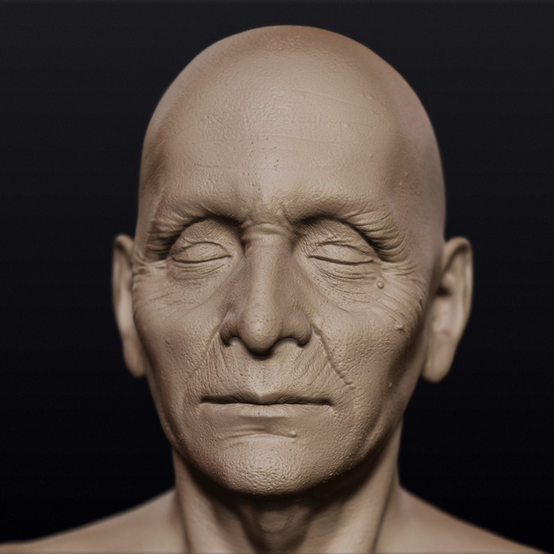 3d Model Hyper-real Old Man Anatomy