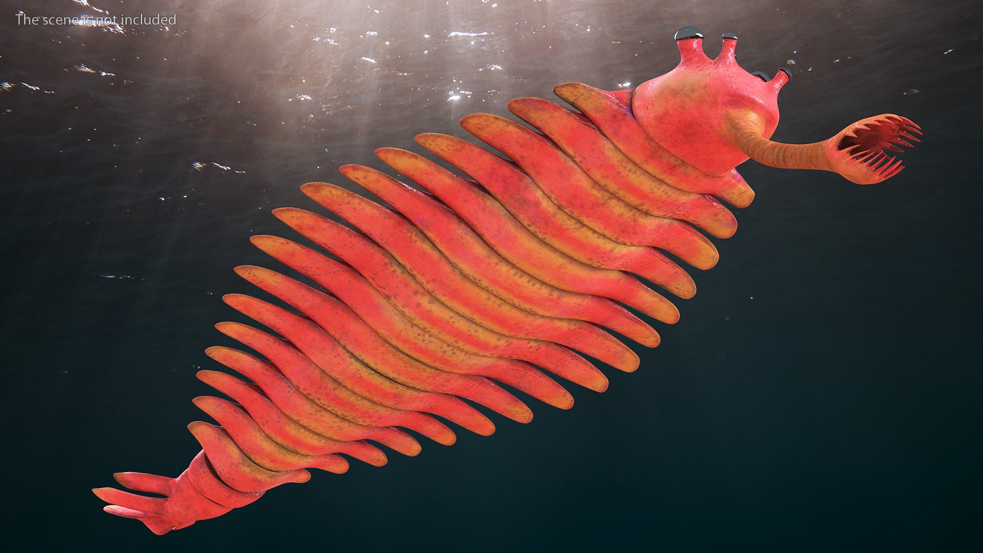 Pink Opabinia Rigged 3D model - TurboSquid 2178322