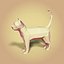 3D cat cartoon model - TurboSquid 1376239