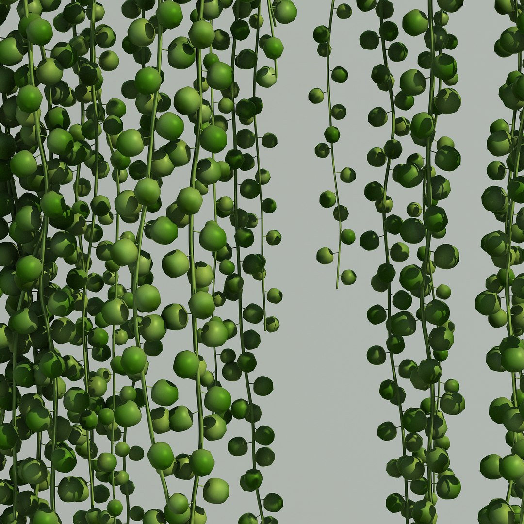 3D String Pearls | 1147894 | TurboSquid