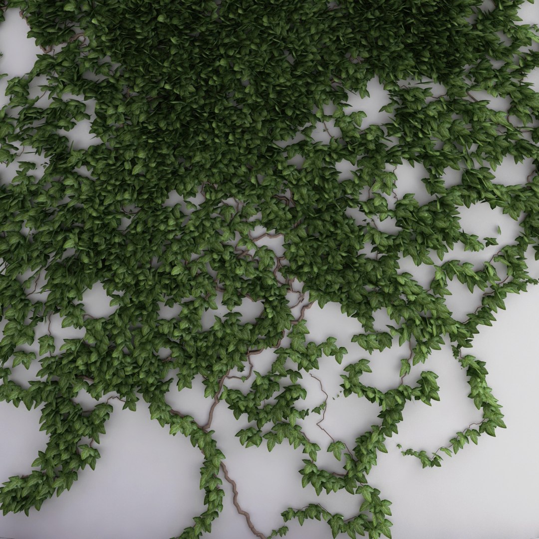 Wall Ivy V2 3d C4d