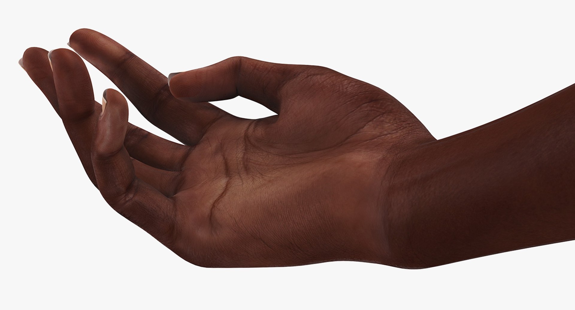 African female hand short 3D - TurboSquid 1402324