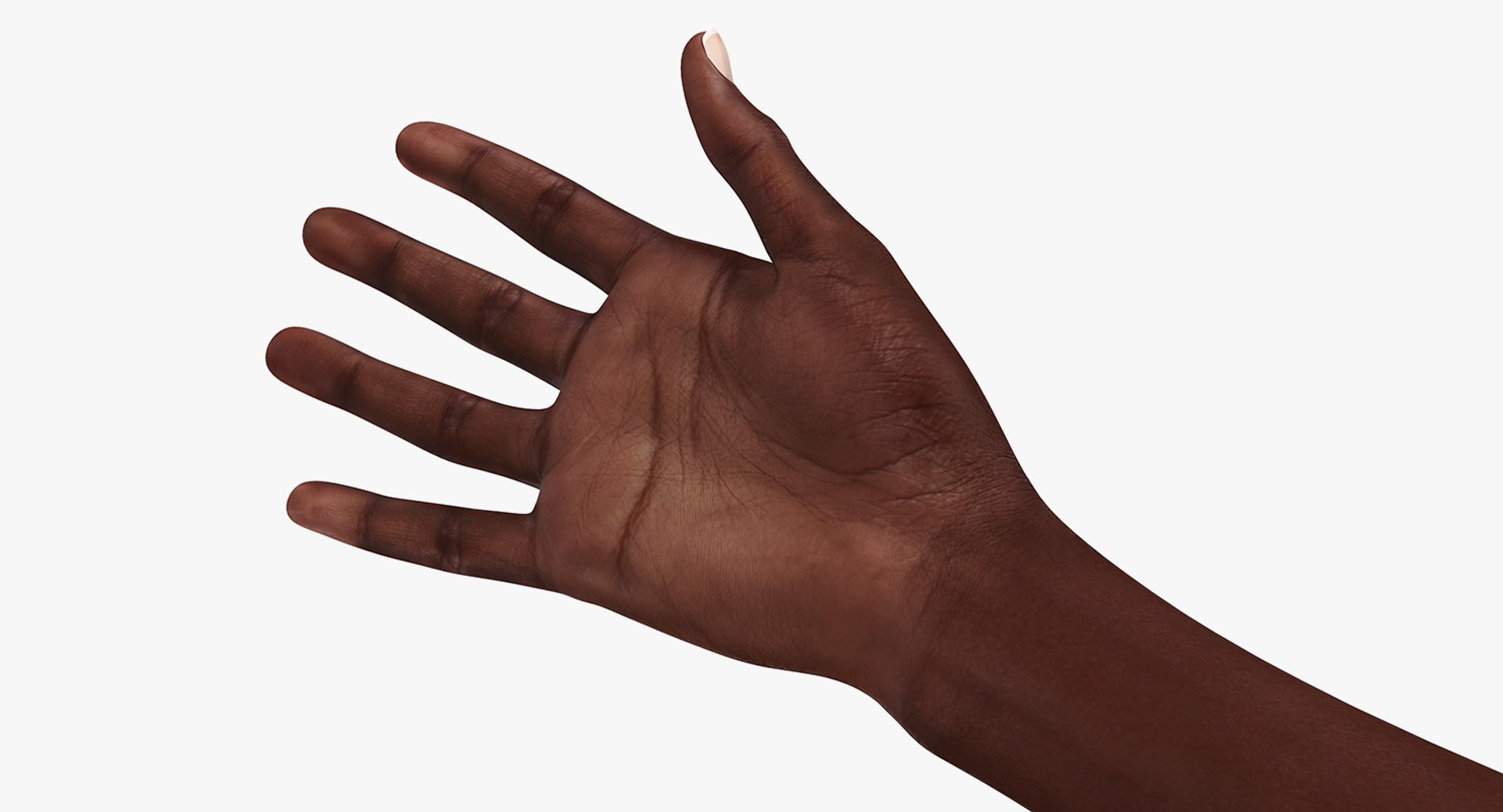 African female hand short 3D - TurboSquid 1402324