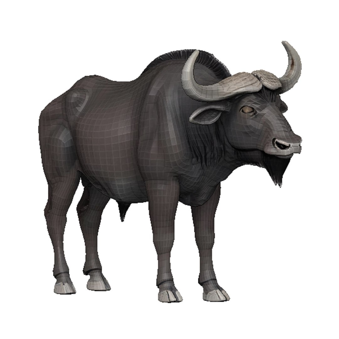 3D Buffalo Model - TurboSquid 2434517