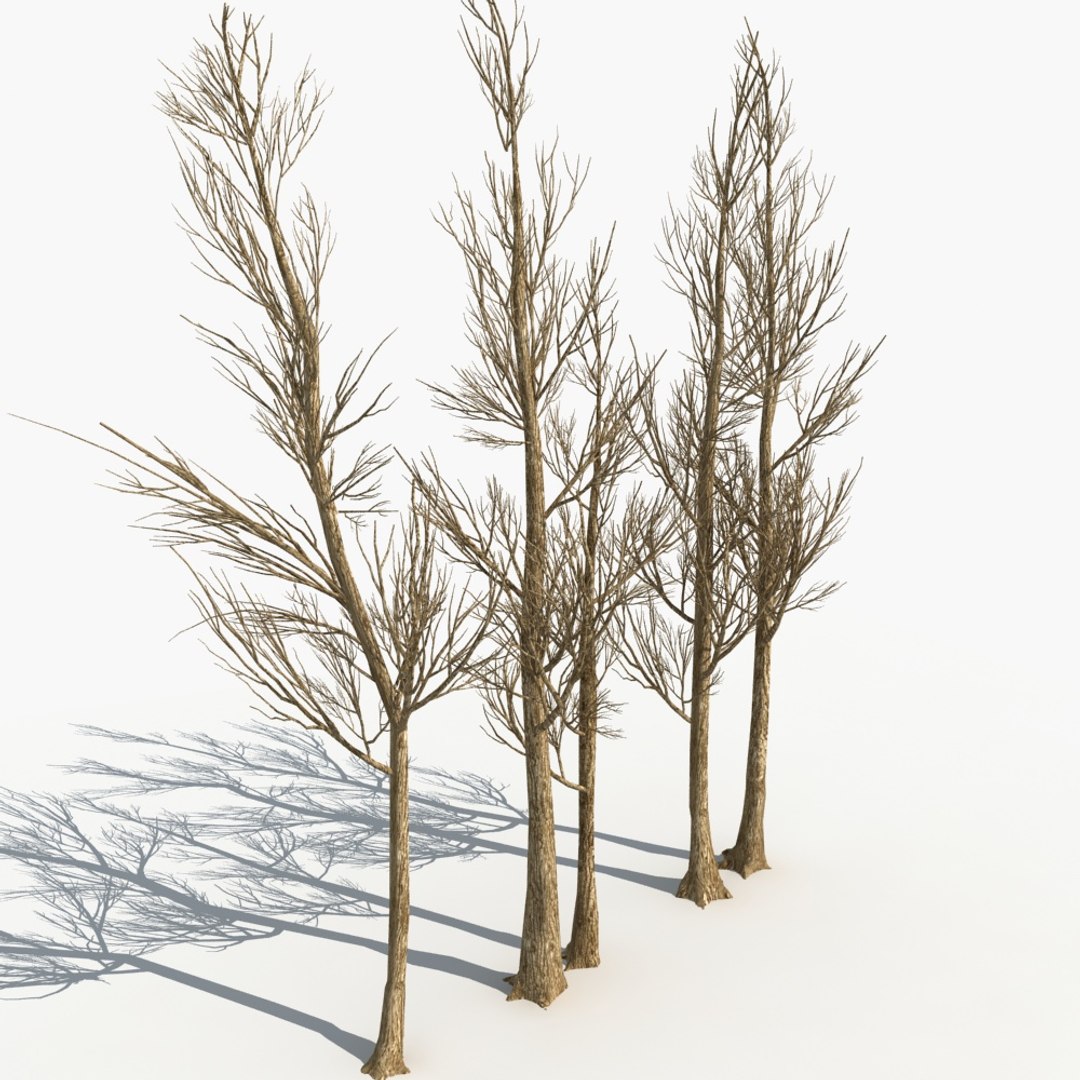 3d Scary Tree Dry