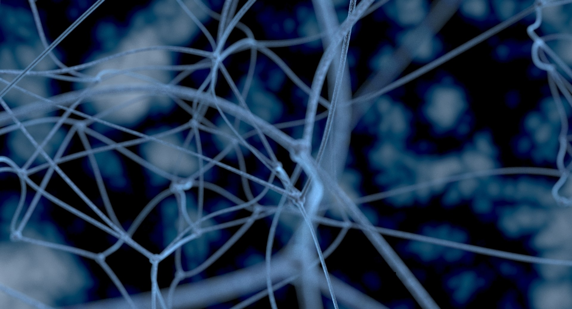 Neurons Max