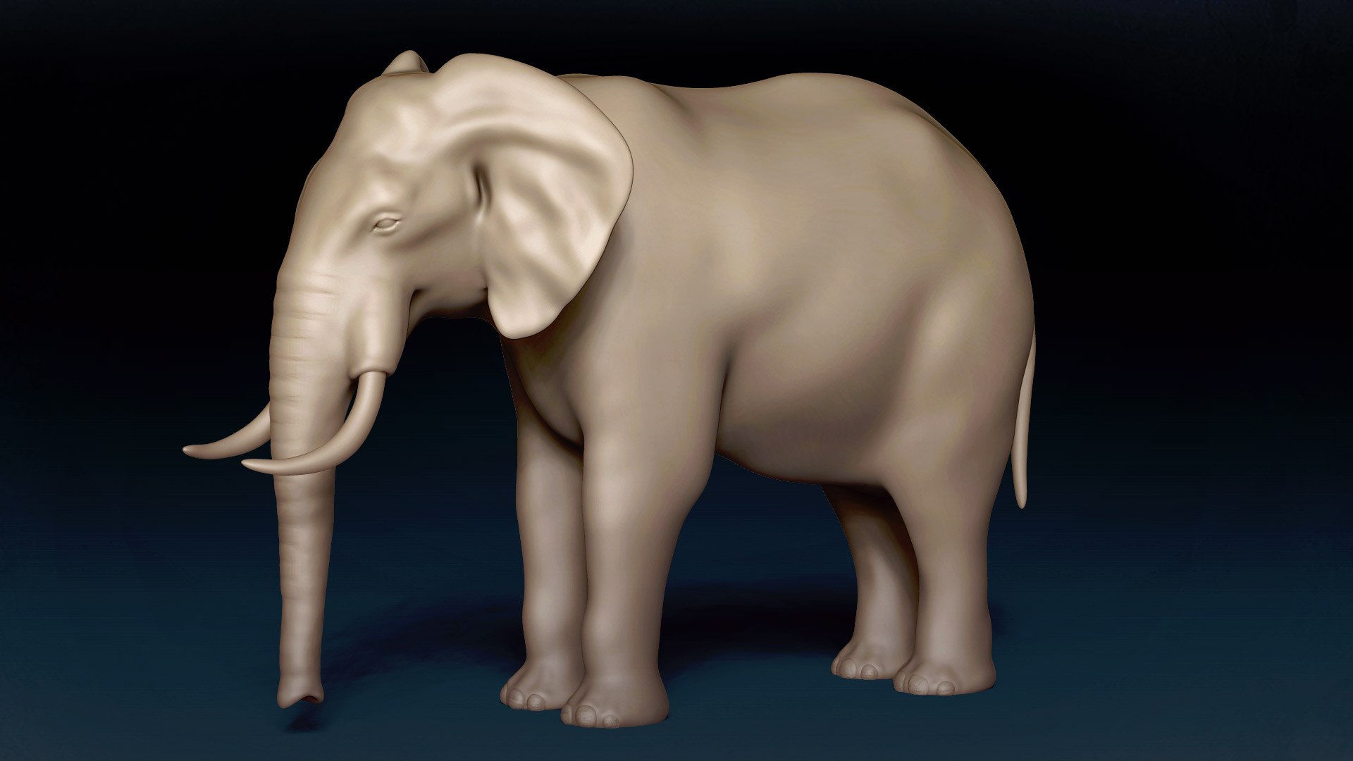 Elephant Base Mesh 3D 3D - TurboSquid 1823529