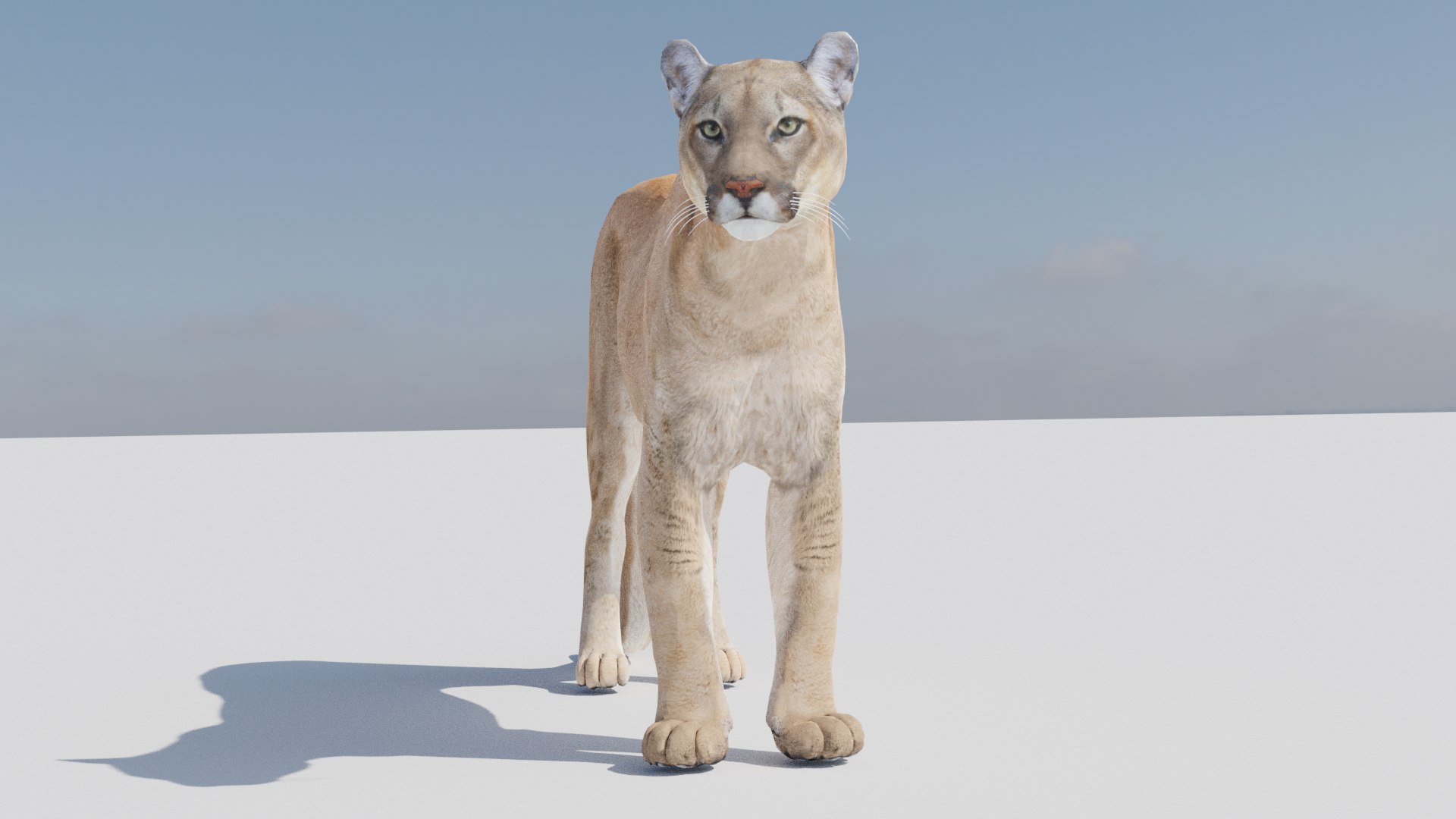 Mountain Lion Model Model - TurboSquid 2234095