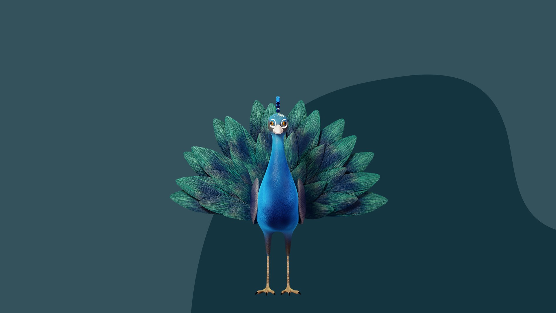 Peacock 3D Cartoon Rigged Model - Blender 3D Model - TurboSquid 2222024