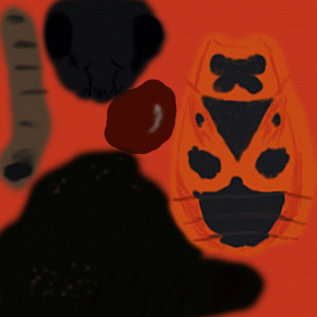 3d Model Pyrrhocoris Apterus