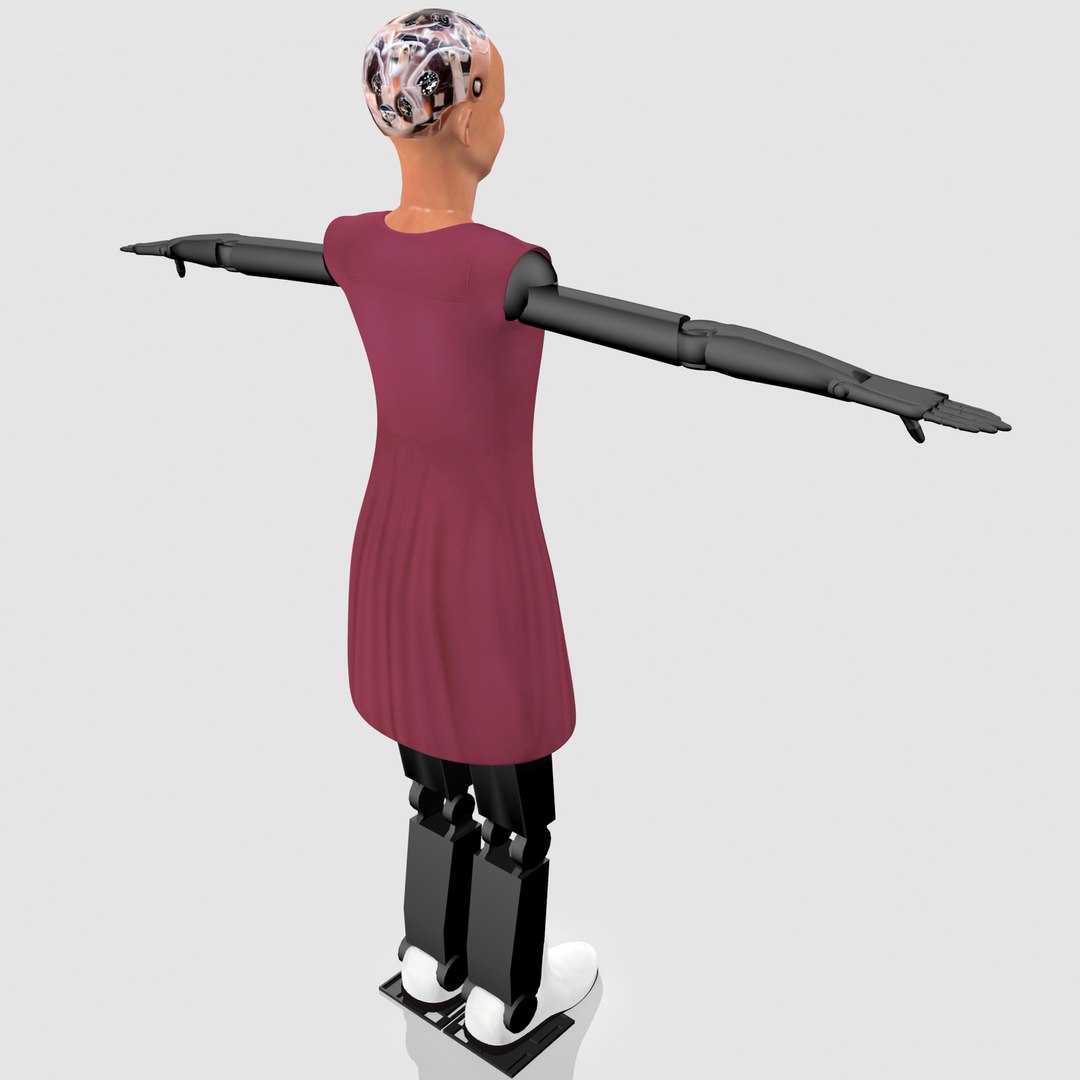 Sophia Humanoid Robot Model - TurboSquid 1327816