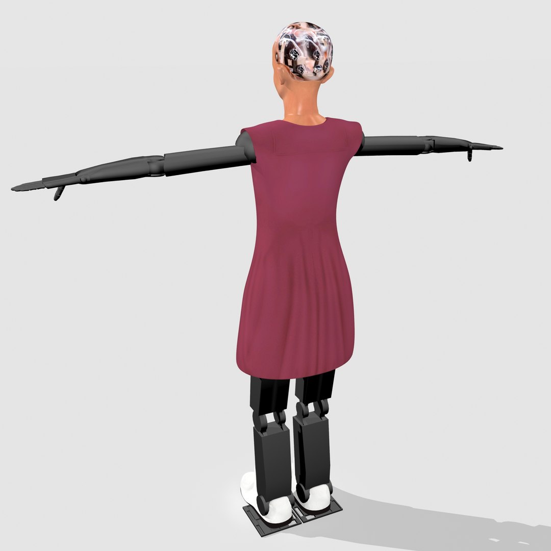 Sophia Humanoid Robot Model - TurboSquid 1327816