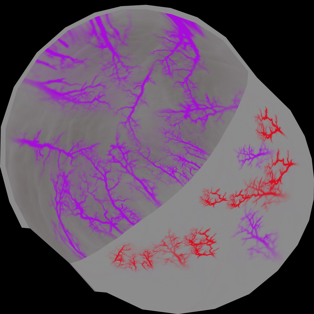 human testis scrotums 3d model
