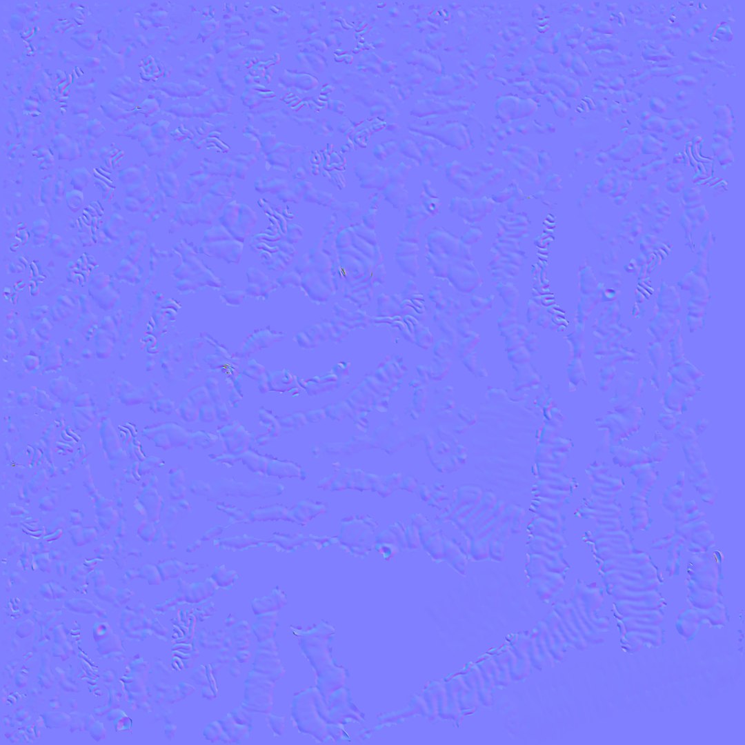 human testis scrotums 3d model