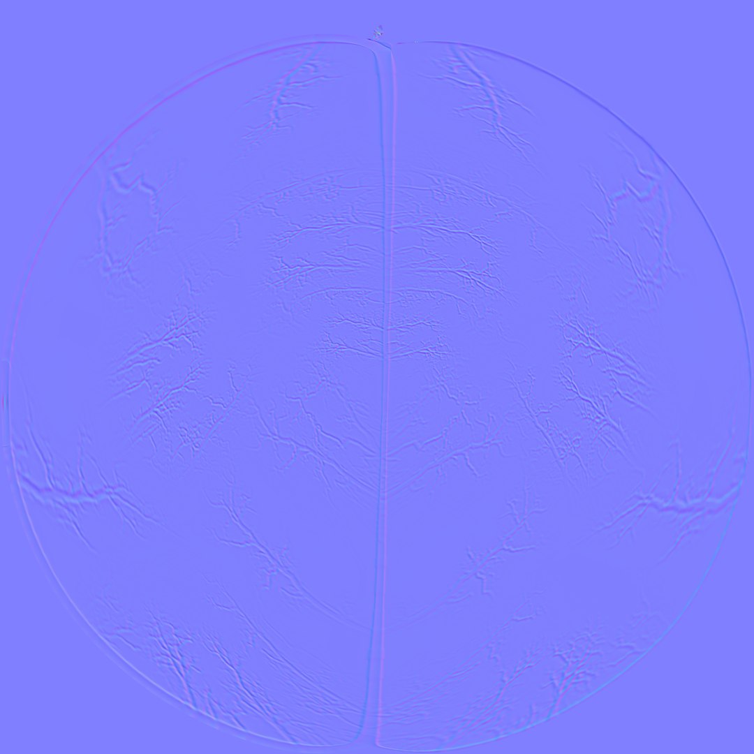 human testis scrotums 3d model