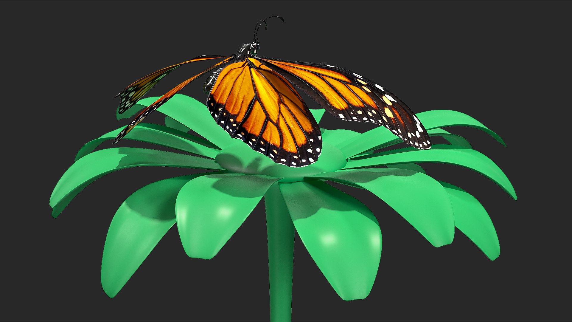 3D Monarch Butterfly Sits Swinging Model - TurboSquid 1566783