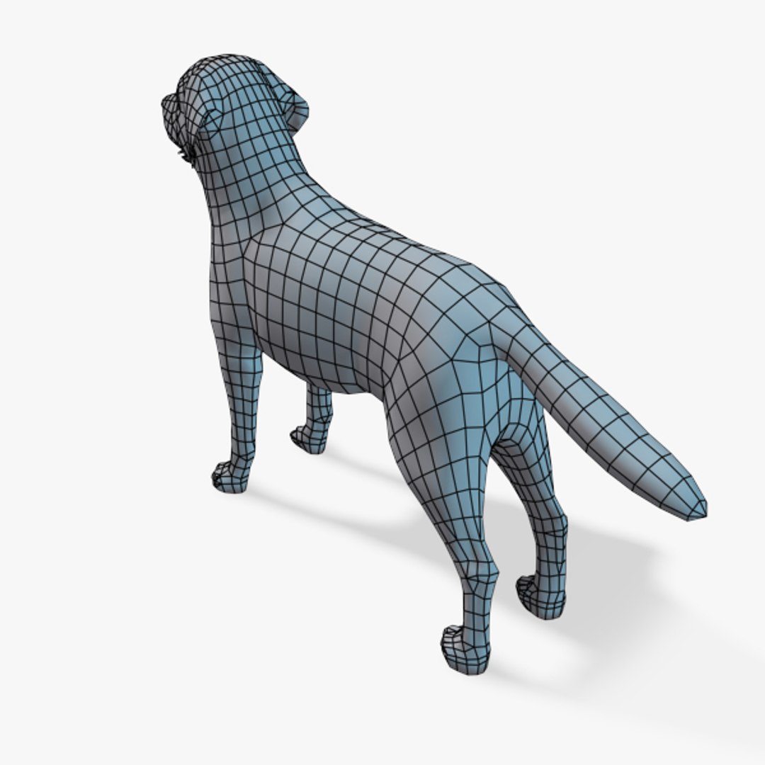 Model S Dog Labrador Yellow