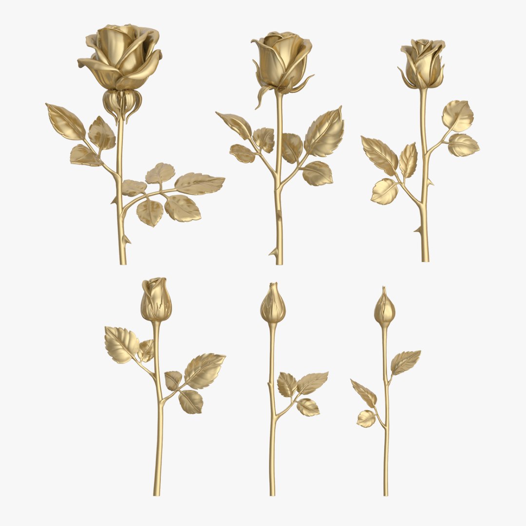 3D Rose Flowers Pack model - TurboSquid 2017309