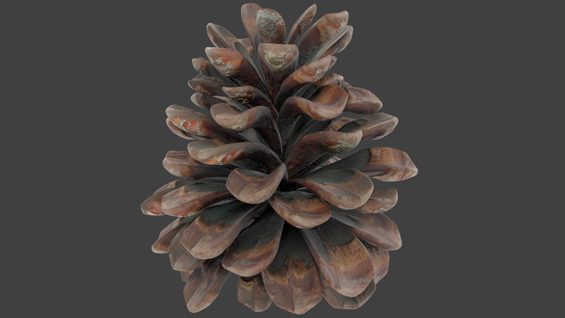 Cone Middle Poly V2 3D model - TurboSquid 2151884