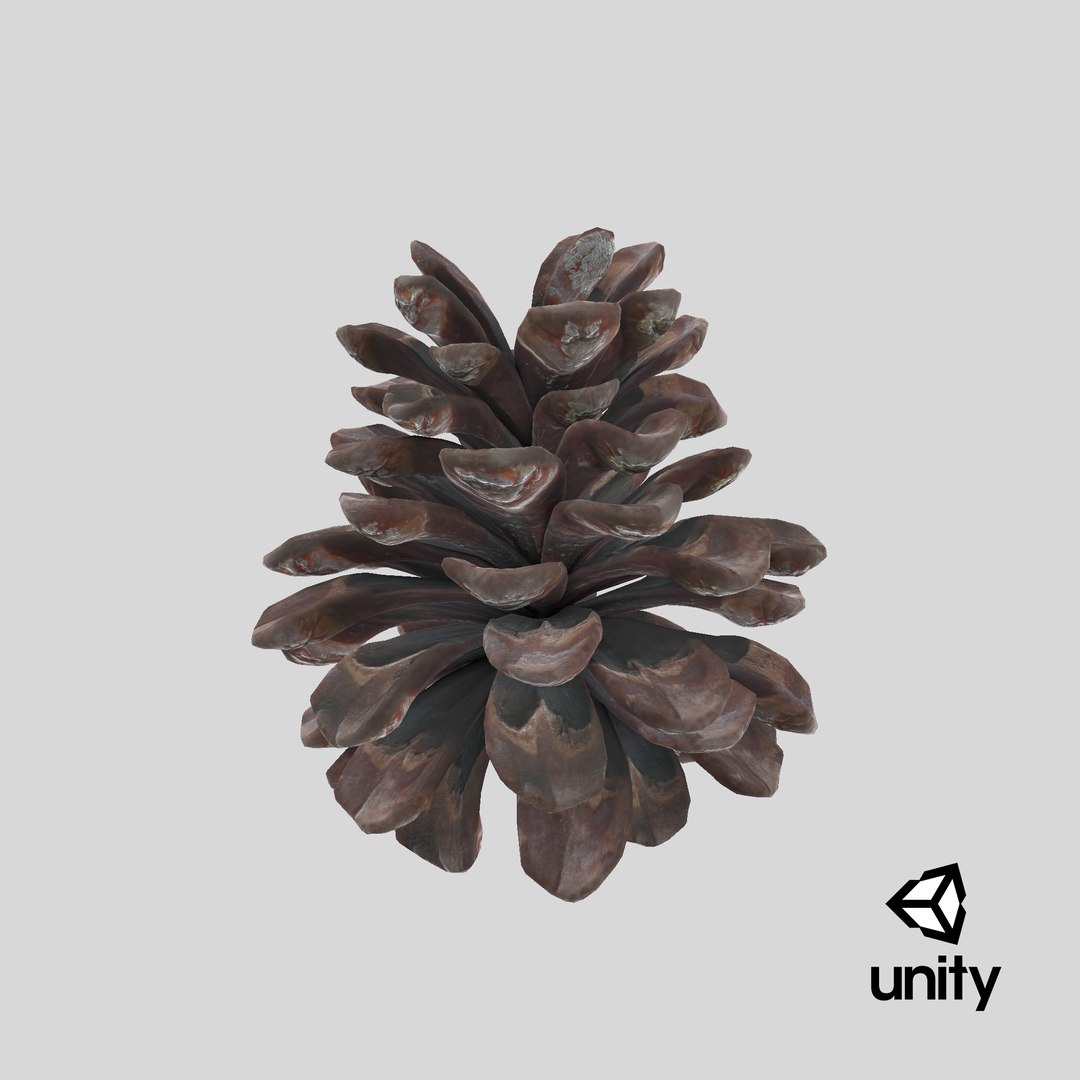 Cone Middle Poly V2 3D Model - TurboSquid 2151884