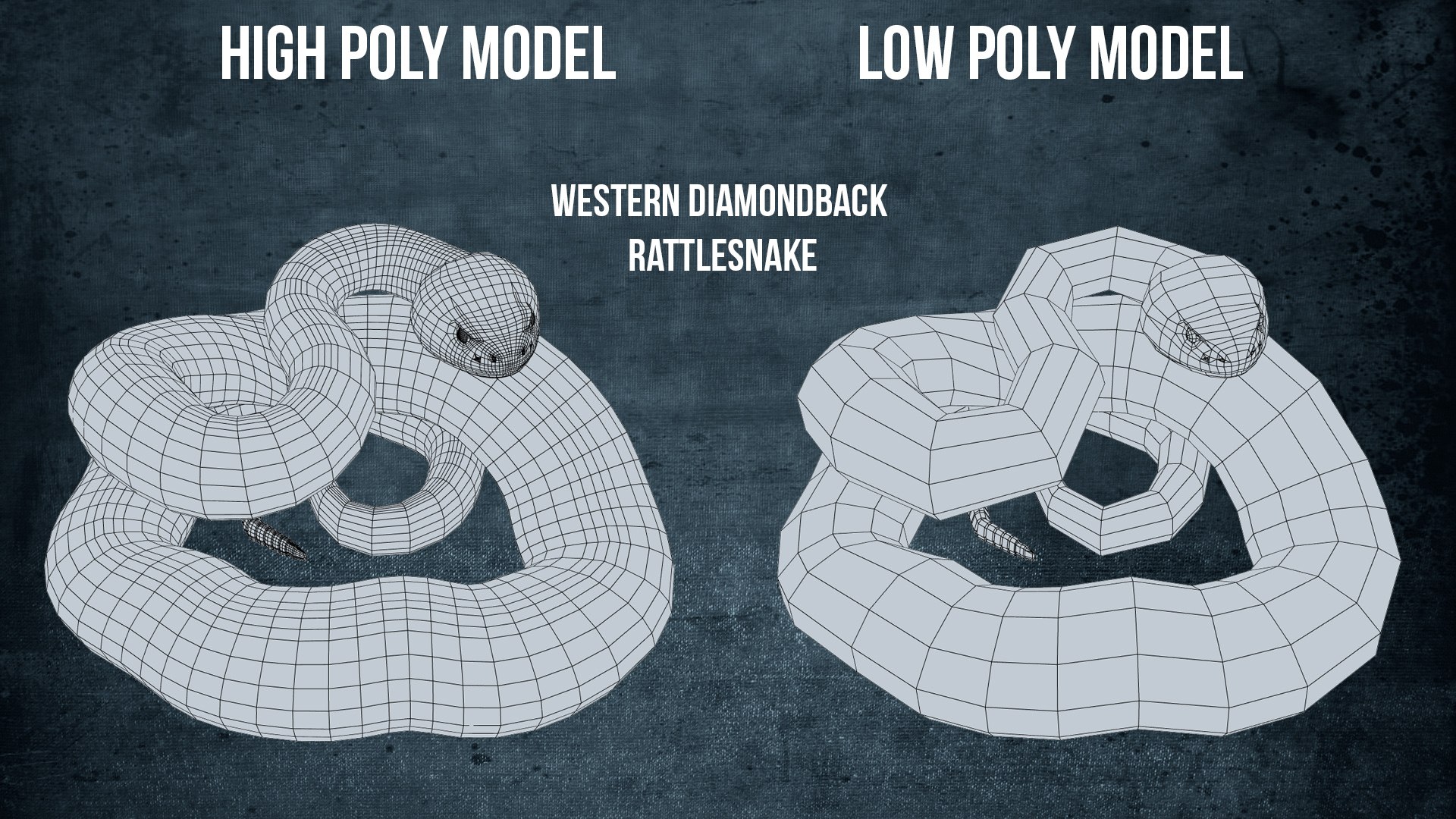 3D Western Diamondback Rattlesnake Reptile - TurboSquid 1392860