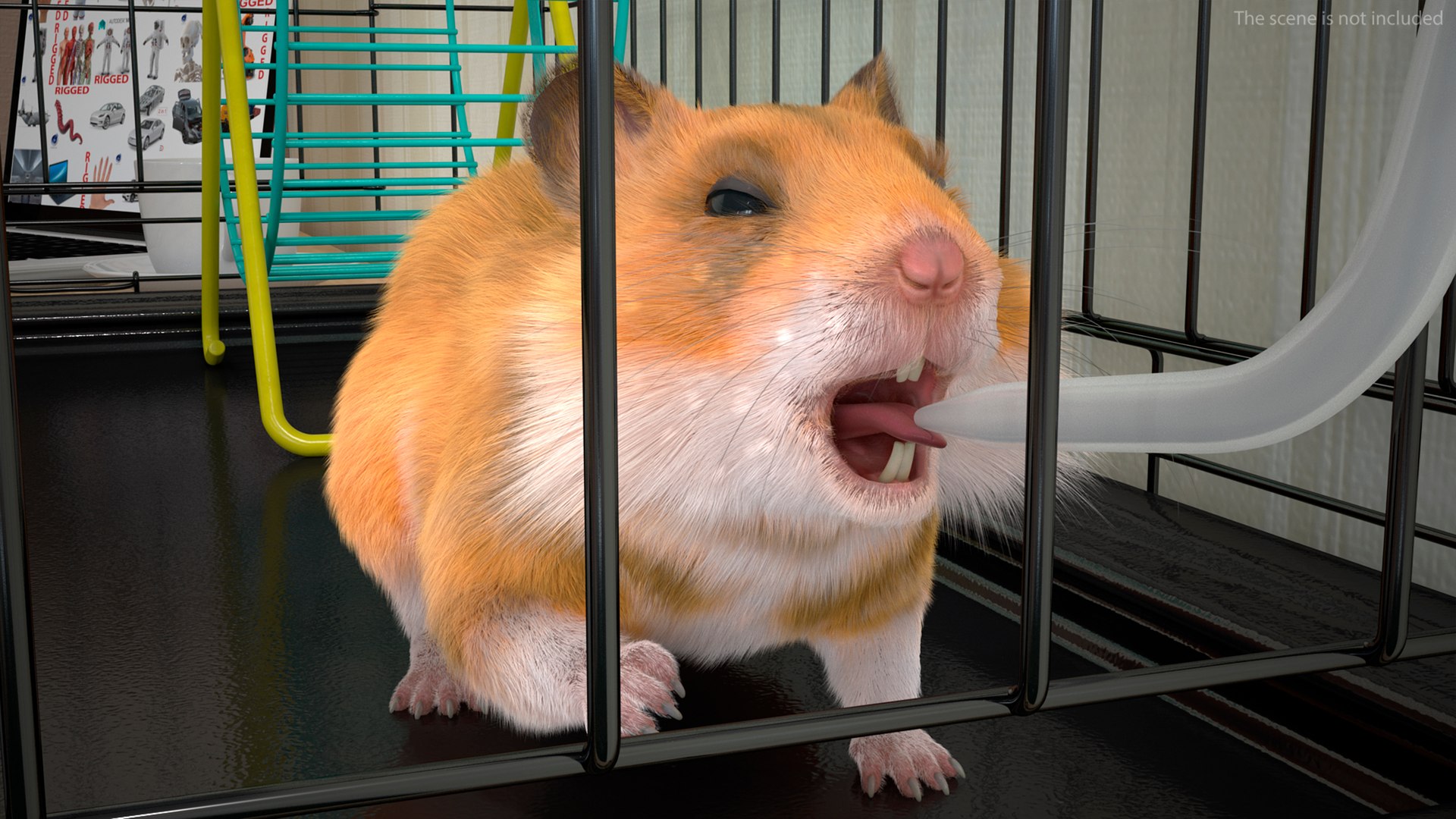 Golden Hamster Rigged model - TurboSquid 2050999