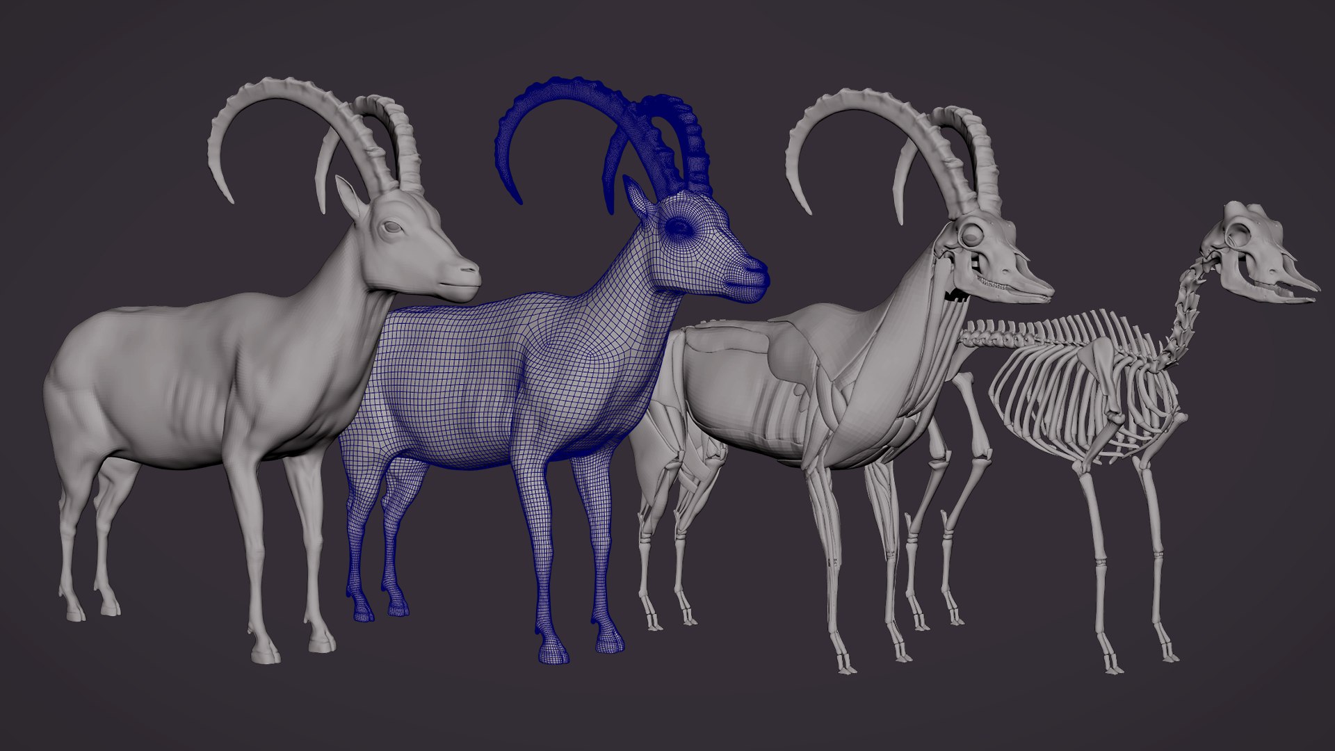 3D IBEX MODEL - VFX READY - TurboSquid 2368428