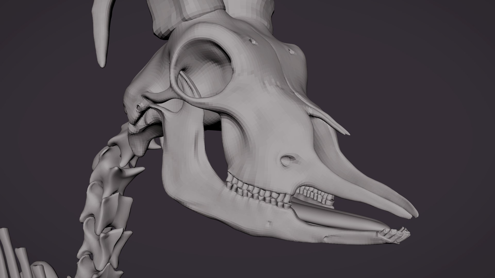 3D IBEX MODEL - VFX READY - TurboSquid 2368428