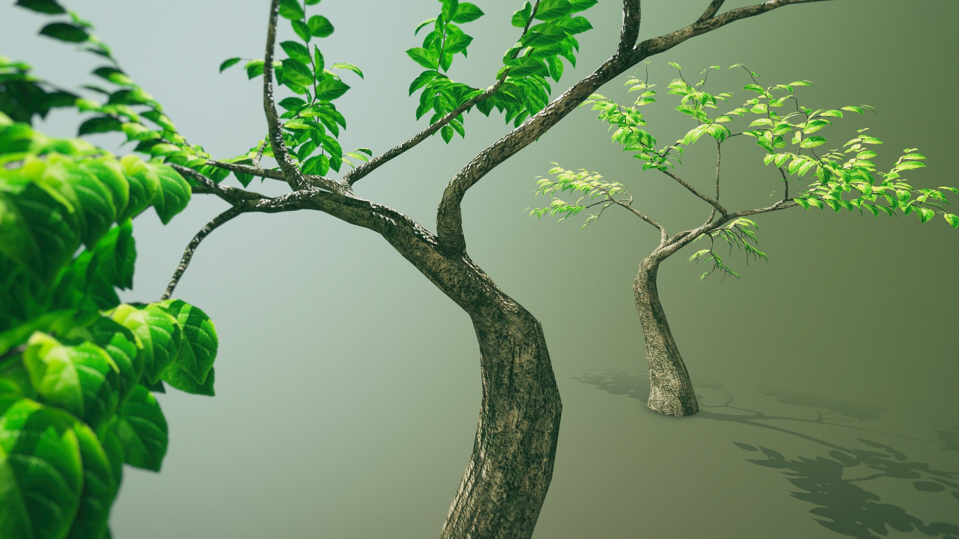 Tree generate 3D - TurboSquid 1639596