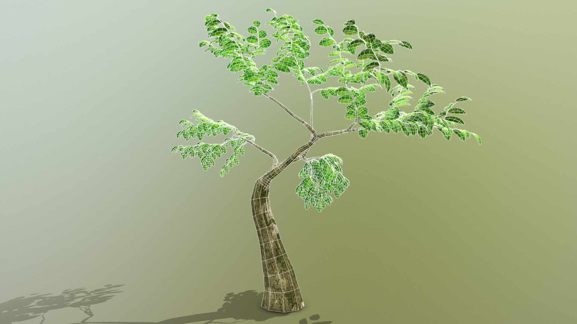 Tree generate 3D - TurboSquid 1639596