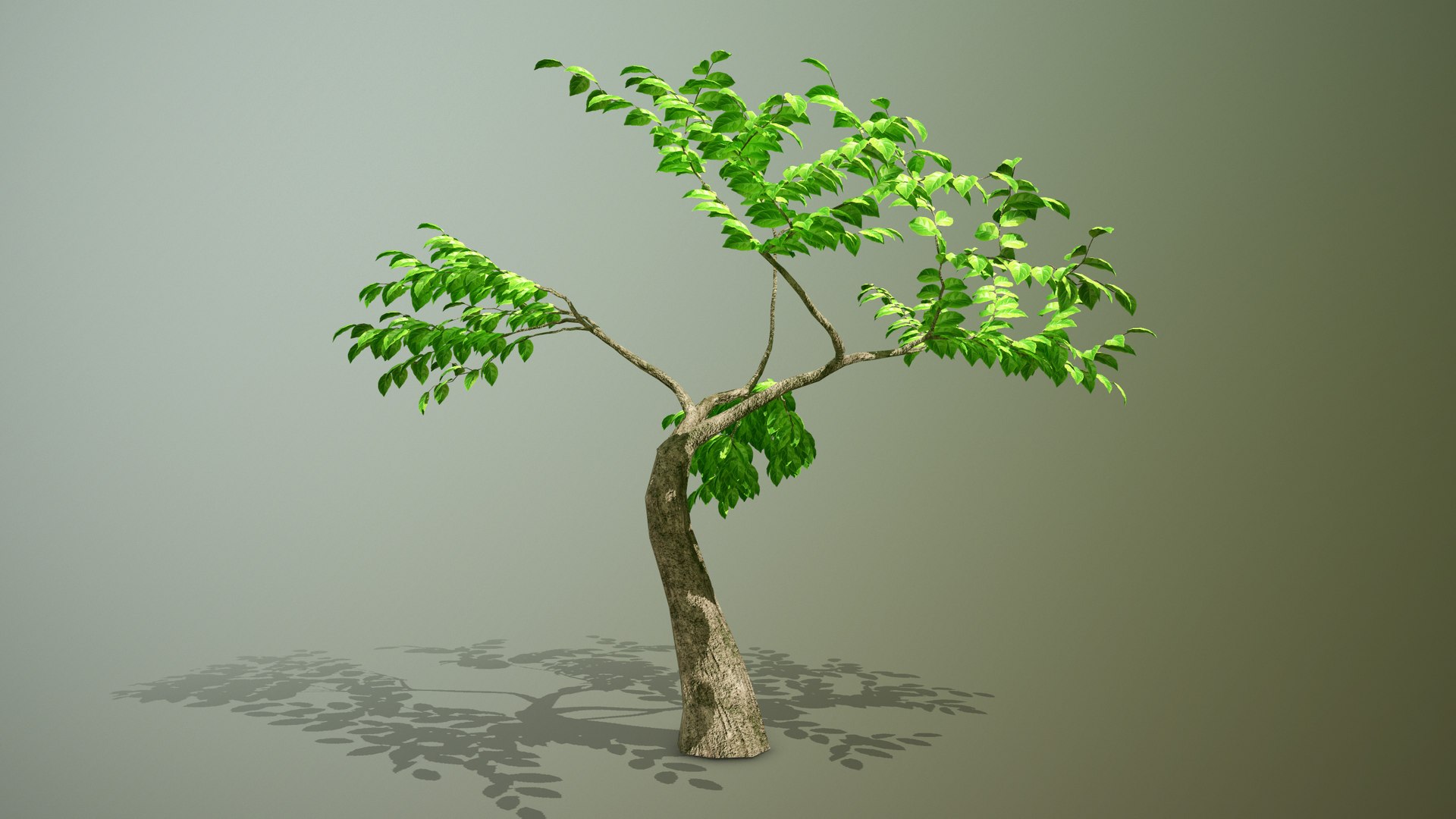 Tree generate 3D - TurboSquid 1639596