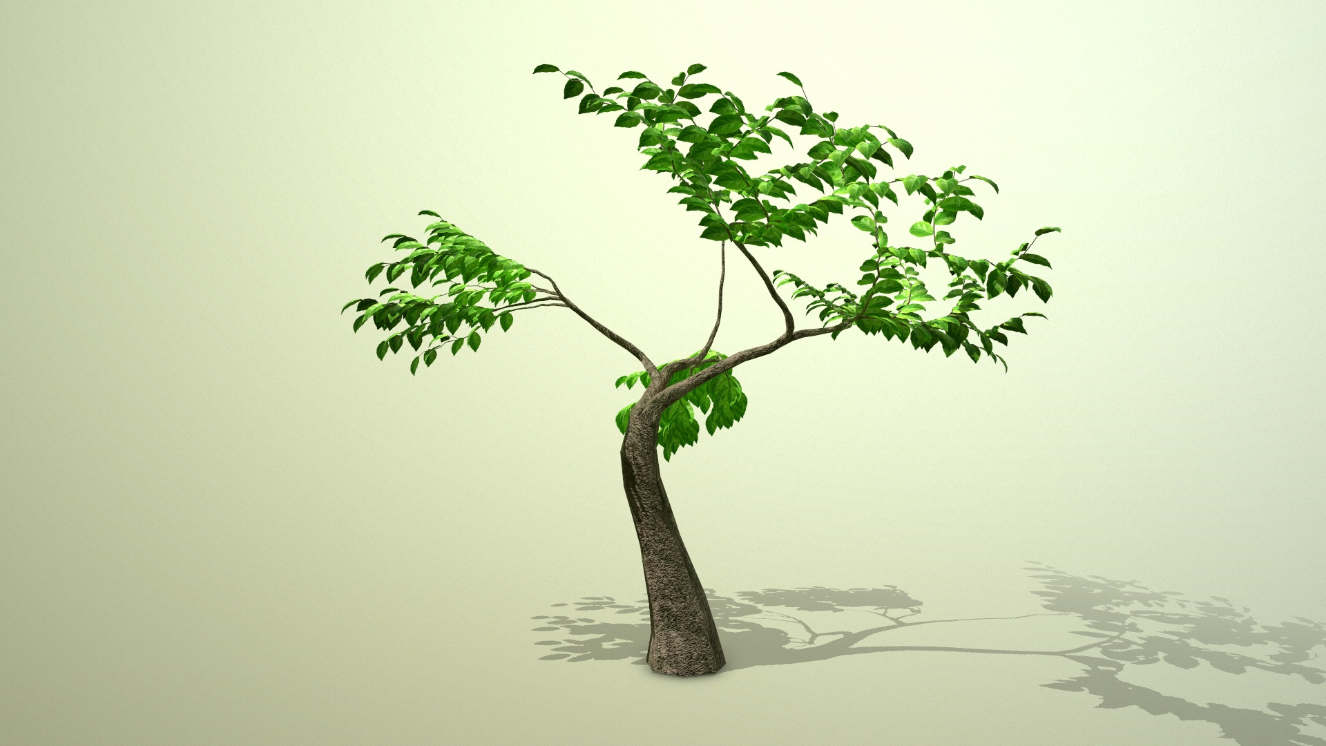 Tree generate 3D - TurboSquid 1639596