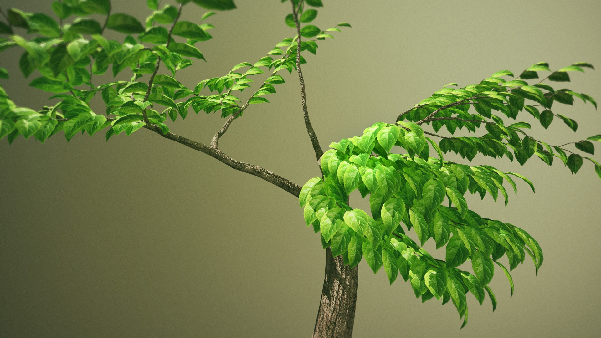 Tree generate 3D - TurboSquid 1639596