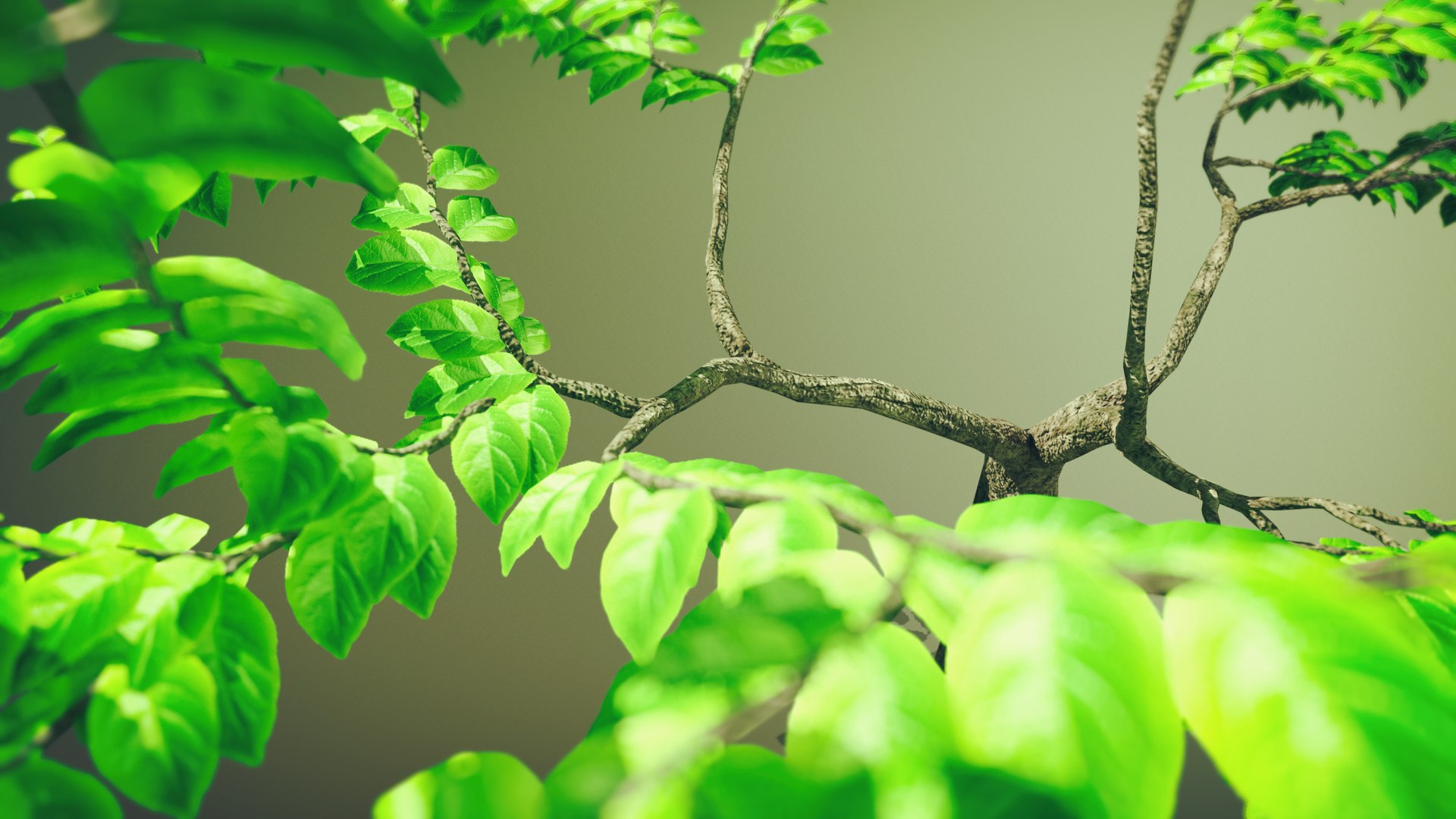 Tree generate 3D - TurboSquid 1639596