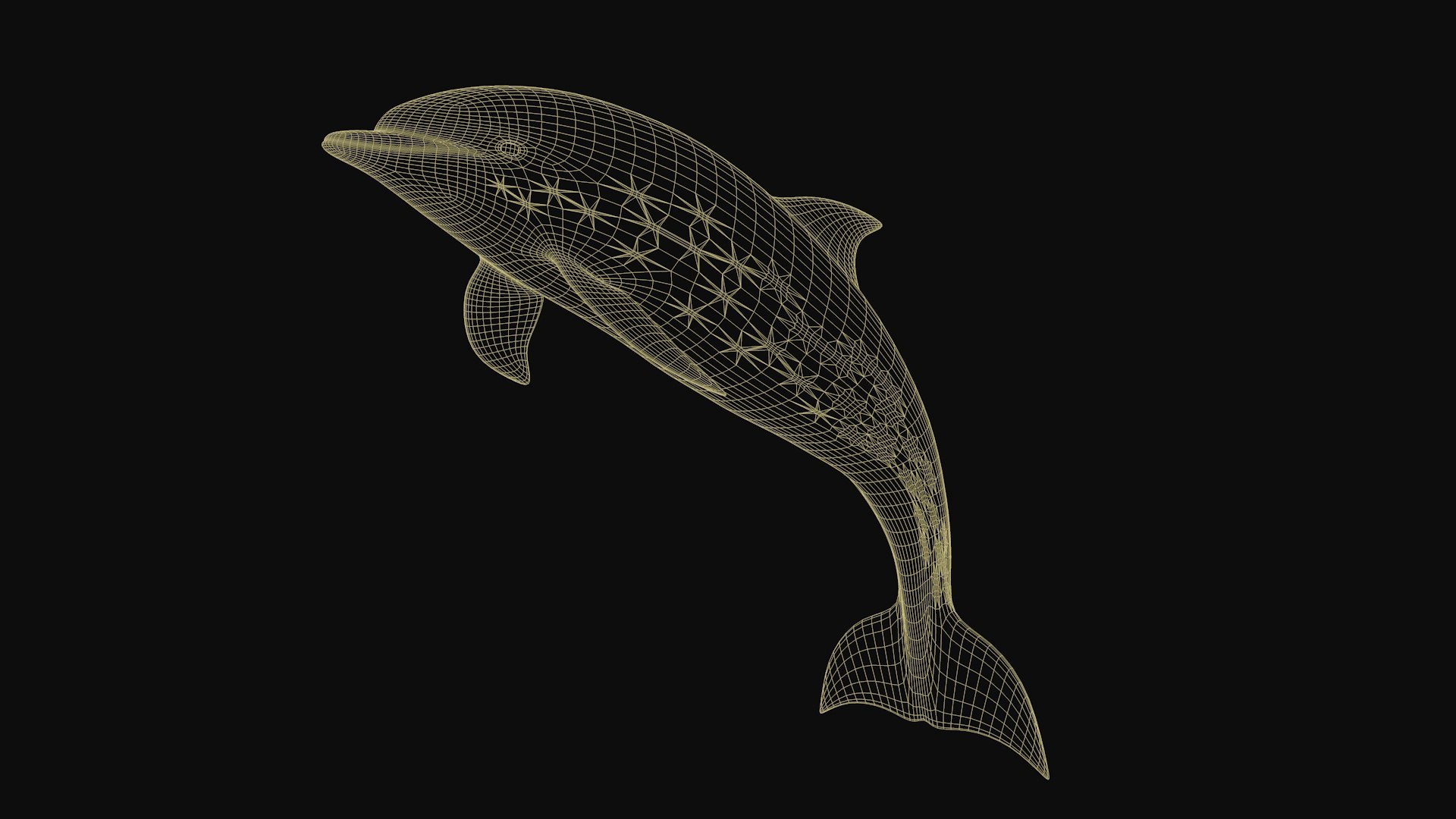 3D Model Star Dolphin - TurboSquid 2226959