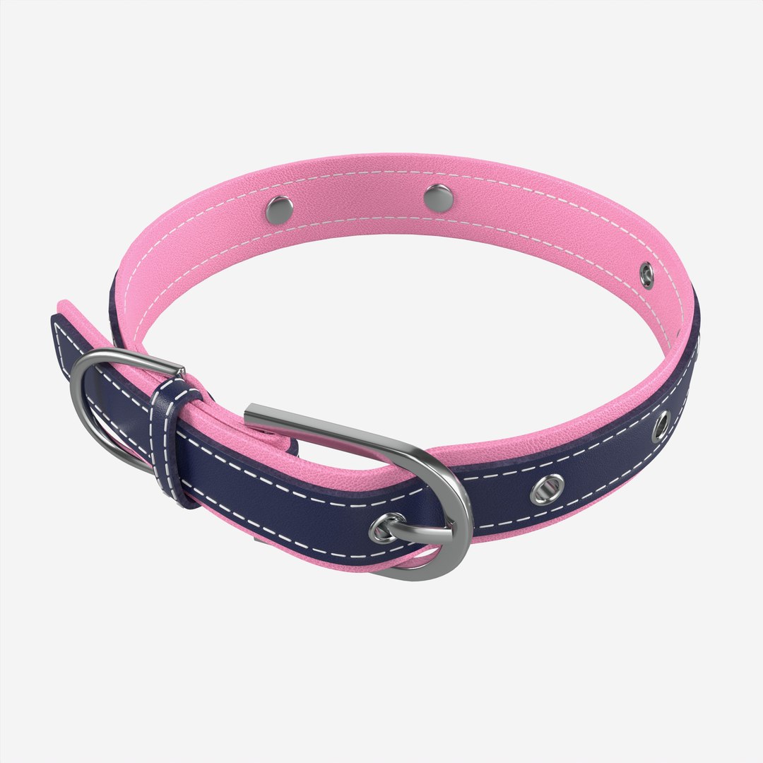 Dog Collar Leather 3D - TurboSquid 1920744