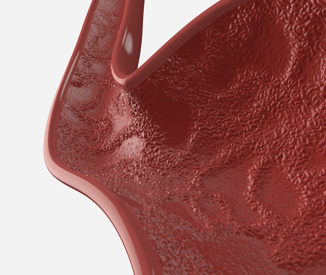 Organs Stomach Science 3D Model - TurboSquid 1467977