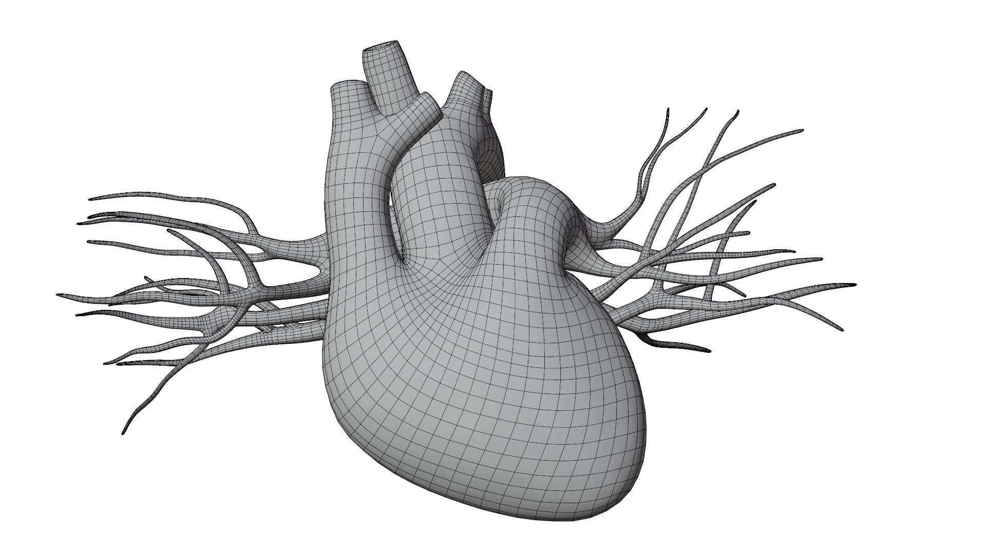 3D Heart model - TurboSquid 2143507