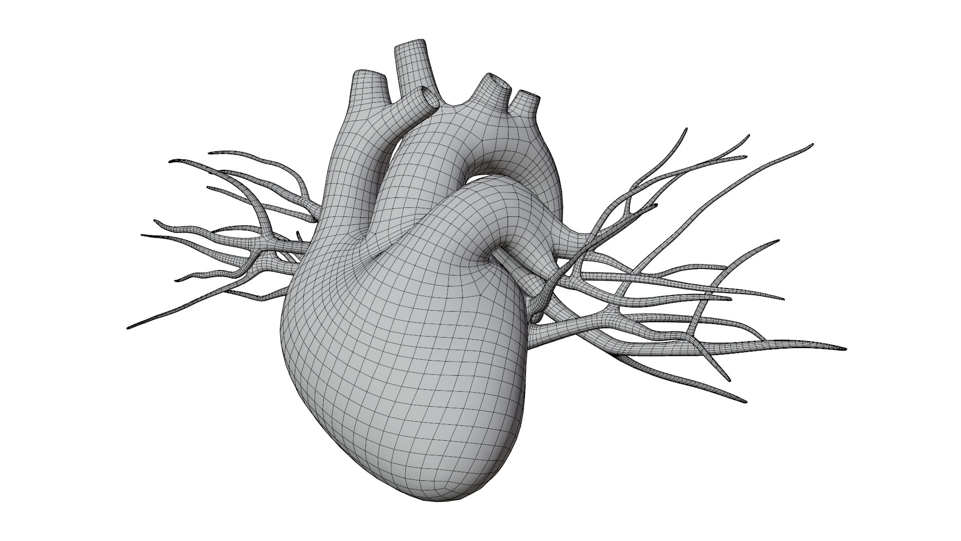 3D Heart model - TurboSquid 2143507