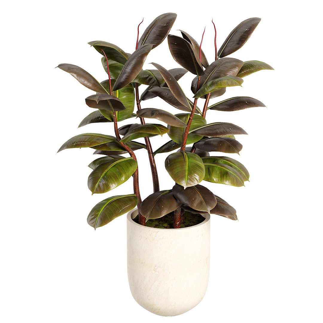 3D Faux Rubber Tree 2015 Model - TurboSquid 2380487