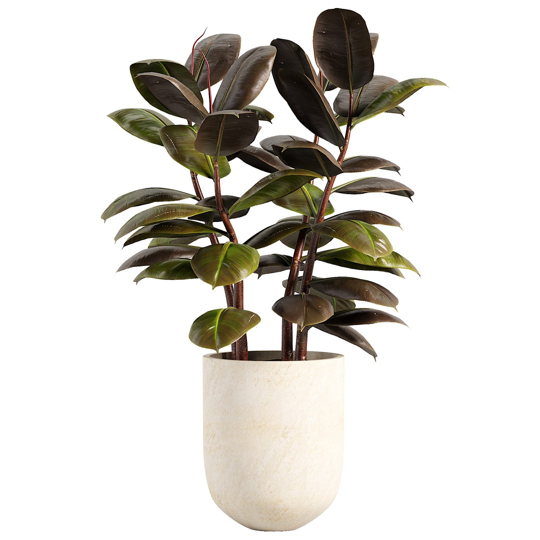 3D Faux Rubber Tree 2015 Model - TurboSquid 2380487