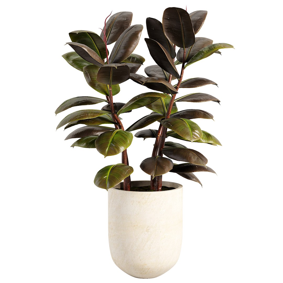 3D Faux Rubber Tree 2015 Model - TurboSquid 2380487