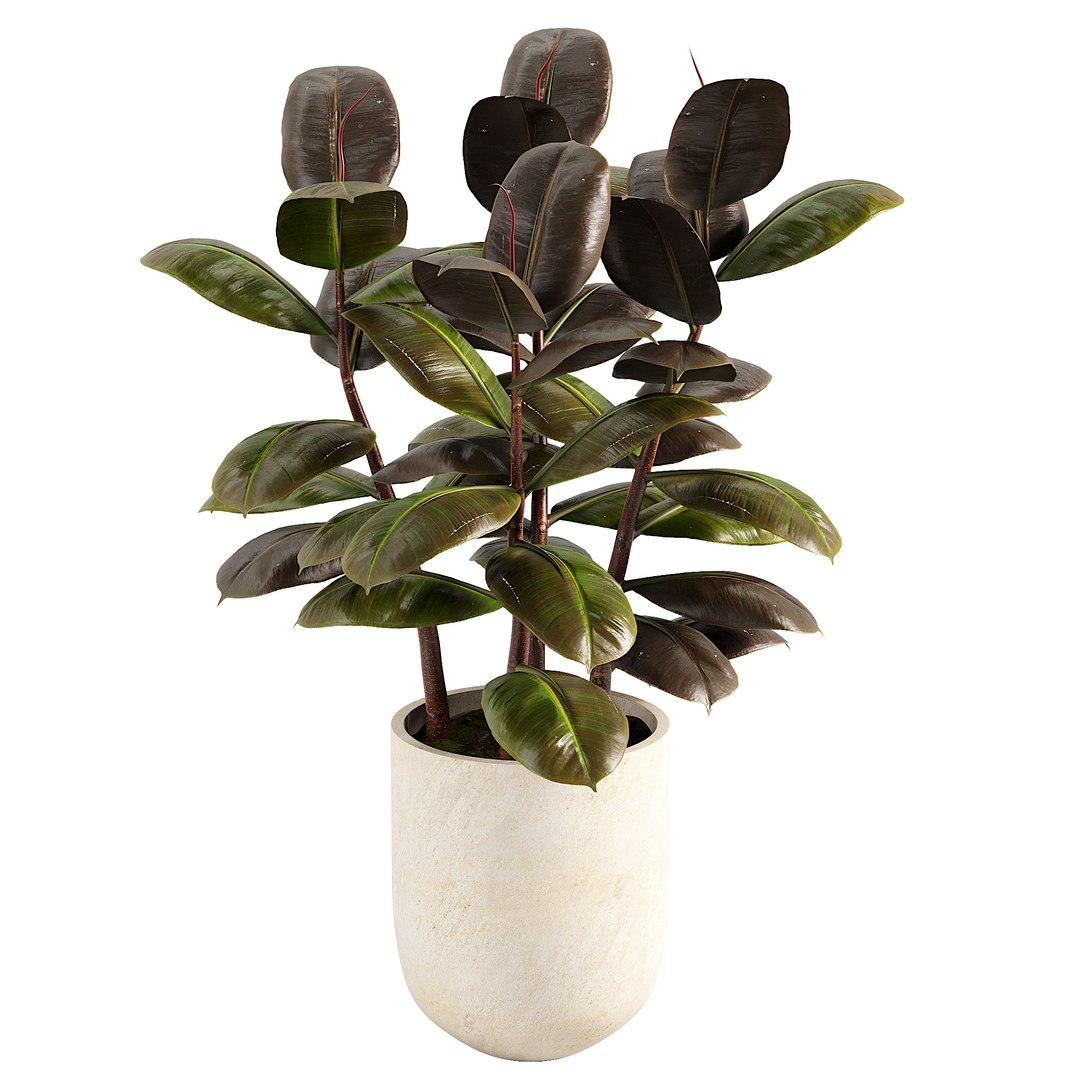 3D Faux Rubber Tree 2015 Model - TurboSquid 2380487